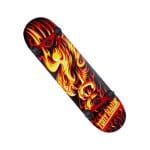 Tony Hawk Signature Series Skateboard: The Ultimate Guide!